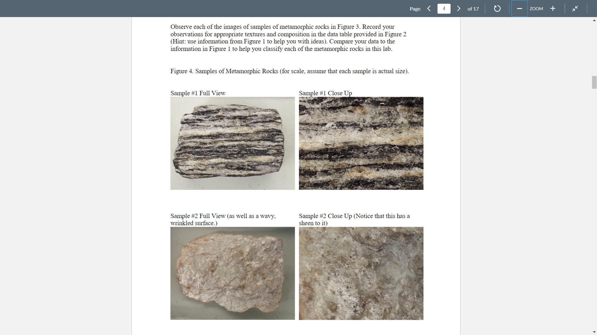 Solved shale. Gneiss actually has two protoliths, as seen in | Chegg.com