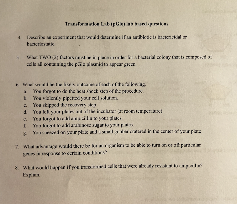 Solved Transformation Lab (pGlo) lab based questions 4. | Chegg.com
