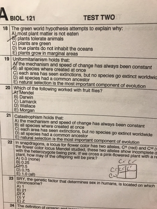 Solved TEST TWO BIOL. 121 18 The green world hypothesis | Chegg.com