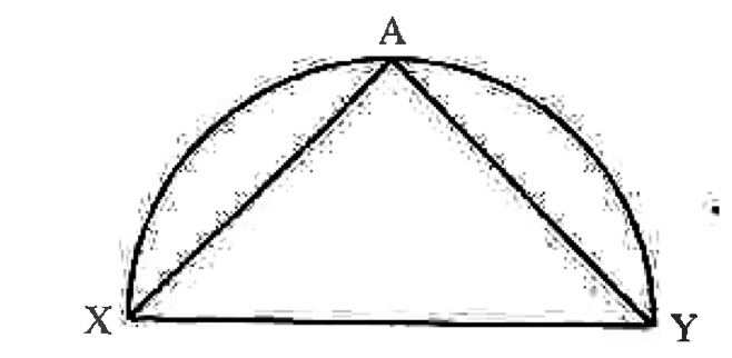 Solved Consider the semicircle below. It has diameter XY and | Chegg.com