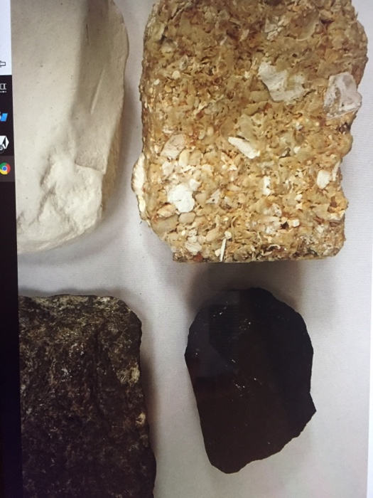 Solved Examine the samples of clastic (A), chemical | Chegg.com