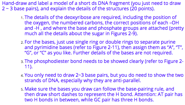 Solved Hand-draw and label a model of a short ds DNA | Chegg.com
