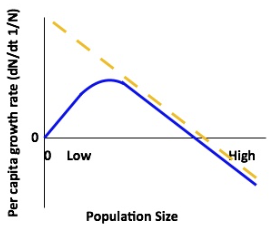 Solved The graph below shows per capita growth rates | Chegg.com