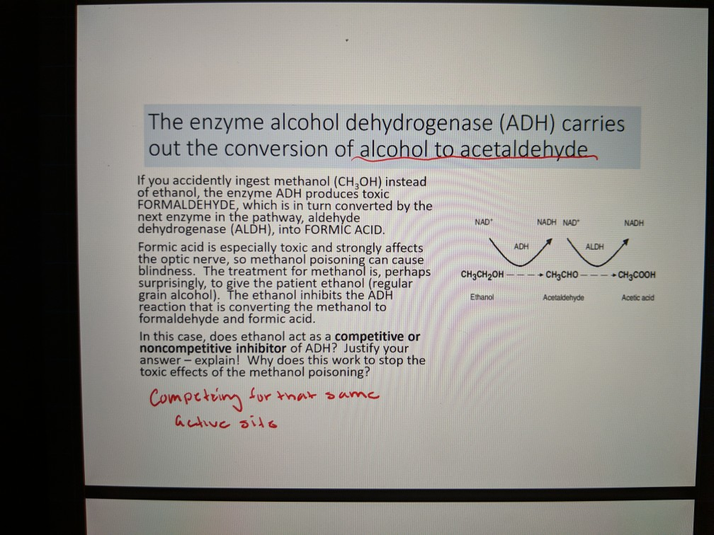 Solved The enzyme alcohol dehydrogenase (ADH) carries out | Chegg.com