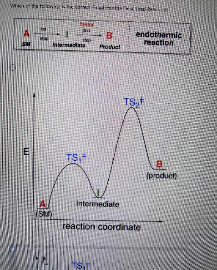 Solved Which of the following is the correct Graph for the | Chegg.com