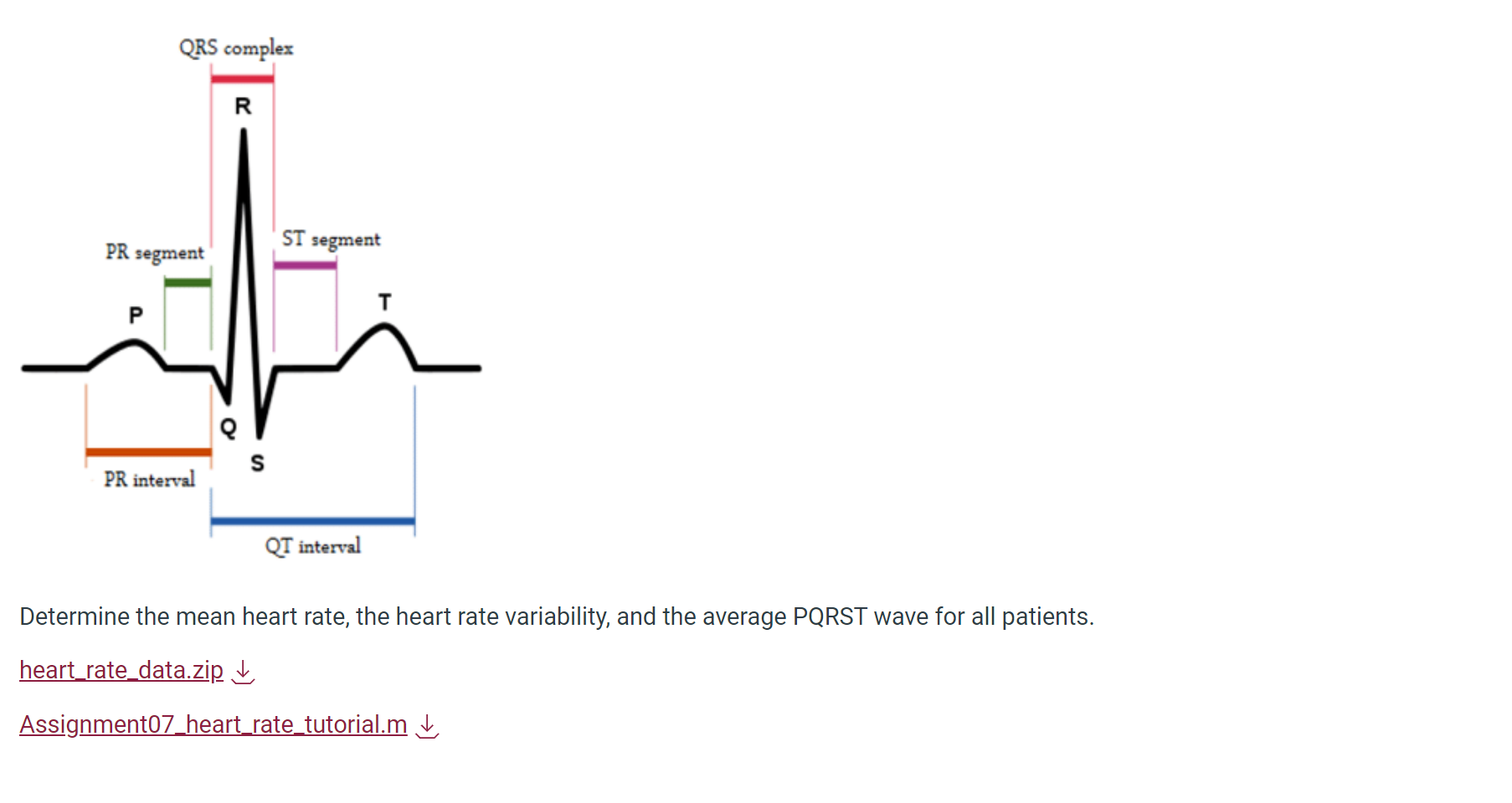 Solved Determine the mean heart rate, the heart rate | Chegg.com