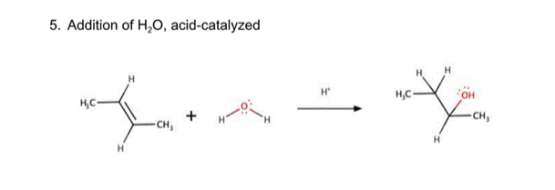 Solved 5. Addition of H,O, acid-catalyzed H H' HC- HC- *OH | Chegg.com