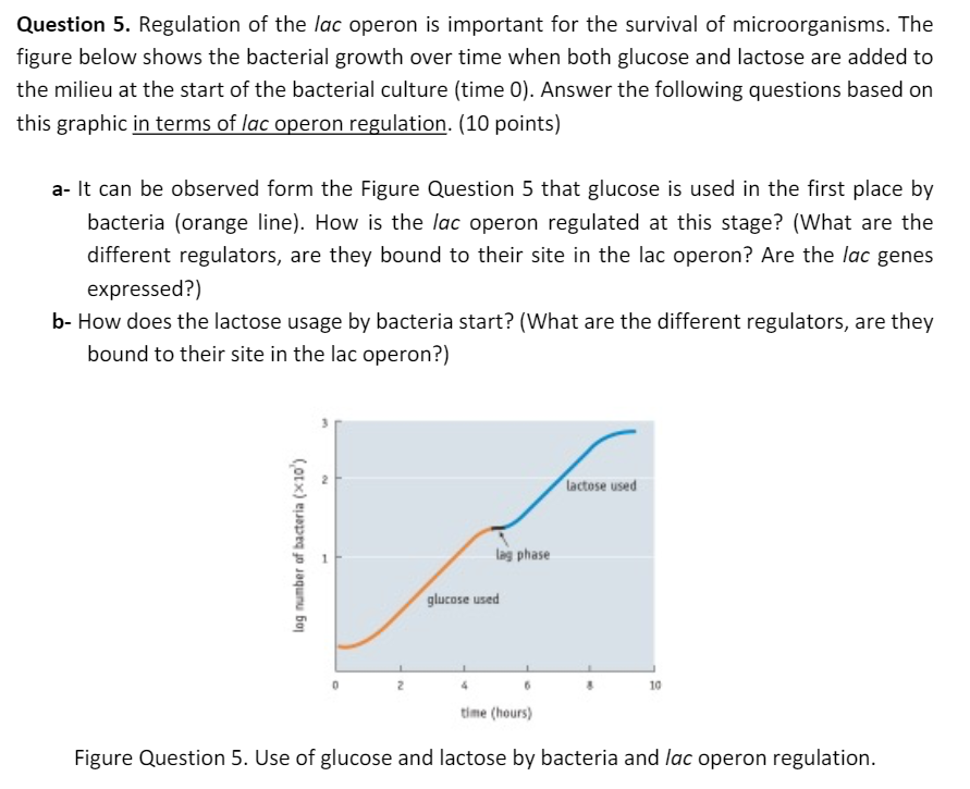 Solved Question 5. Regulation of the lac operon is important | Chegg.com