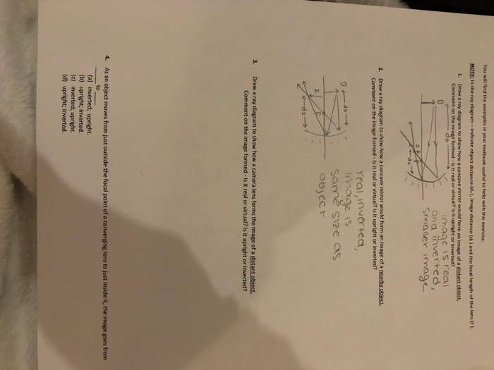 Solved You will find the examples in your textbook useful to | Chegg.com