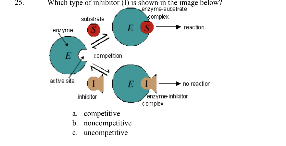 Solved 25. Which type of inhibitor (1) is shown in the image | Chegg.com