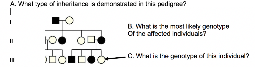 Solved A. What type of inheritance is demonstrated in this | Chegg.com