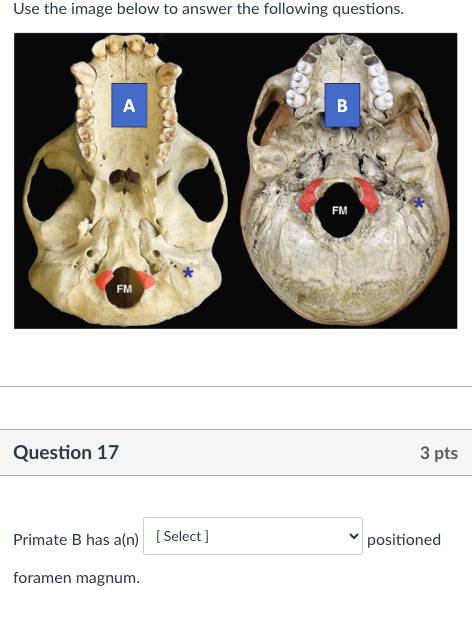 Solved Use the image below to answer the following | Chegg.com