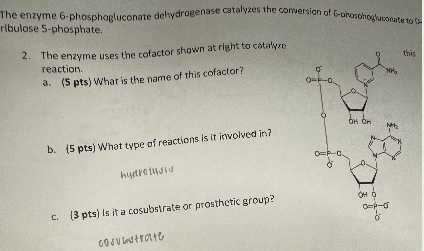 Solved The enzyme 6-phosphogluconate dehydrogenase catalyzes | Chegg.com