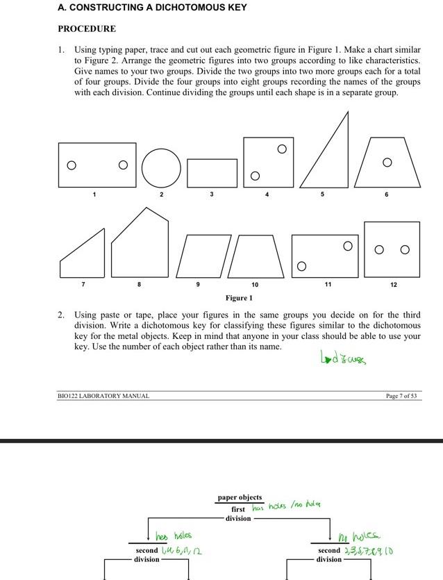 A. CONSTRUCTING A DICHOTOMOUS KEY PROCEDURE 1. Using | Chegg.com