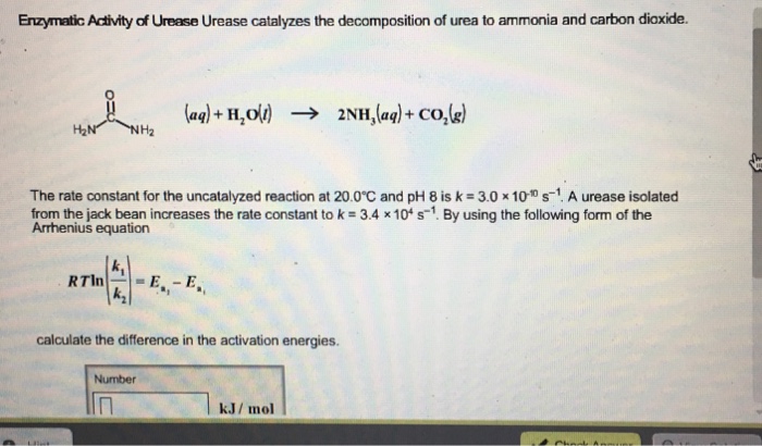 Solved Enzymatic Activity of Urease Urease catalyzes the | Chegg.com