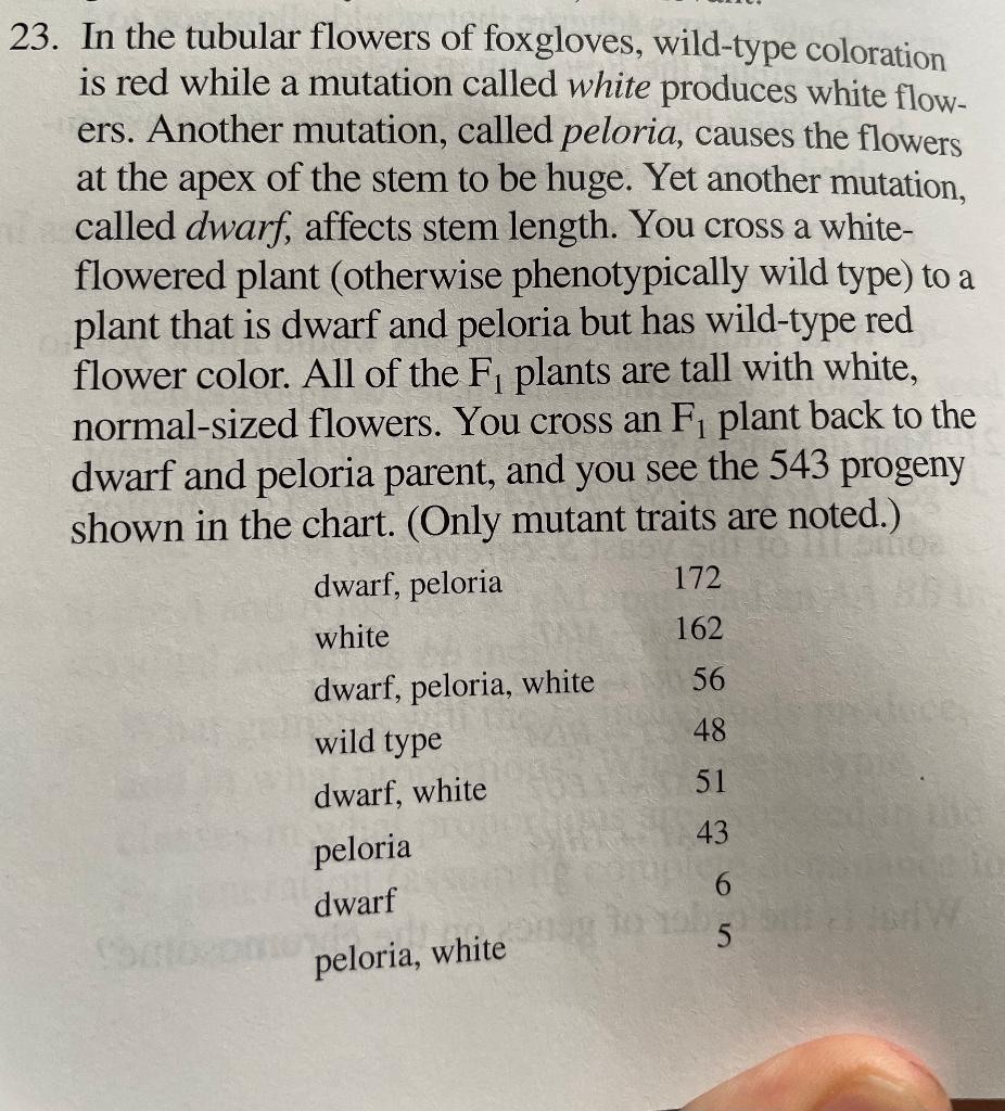 Solved 23. In the tubular flowers of foxgloves, wild-type | Chegg.com