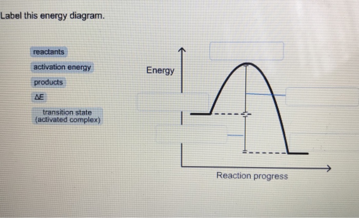 Solved Label this energy diagram. reactants activation | Chegg.com