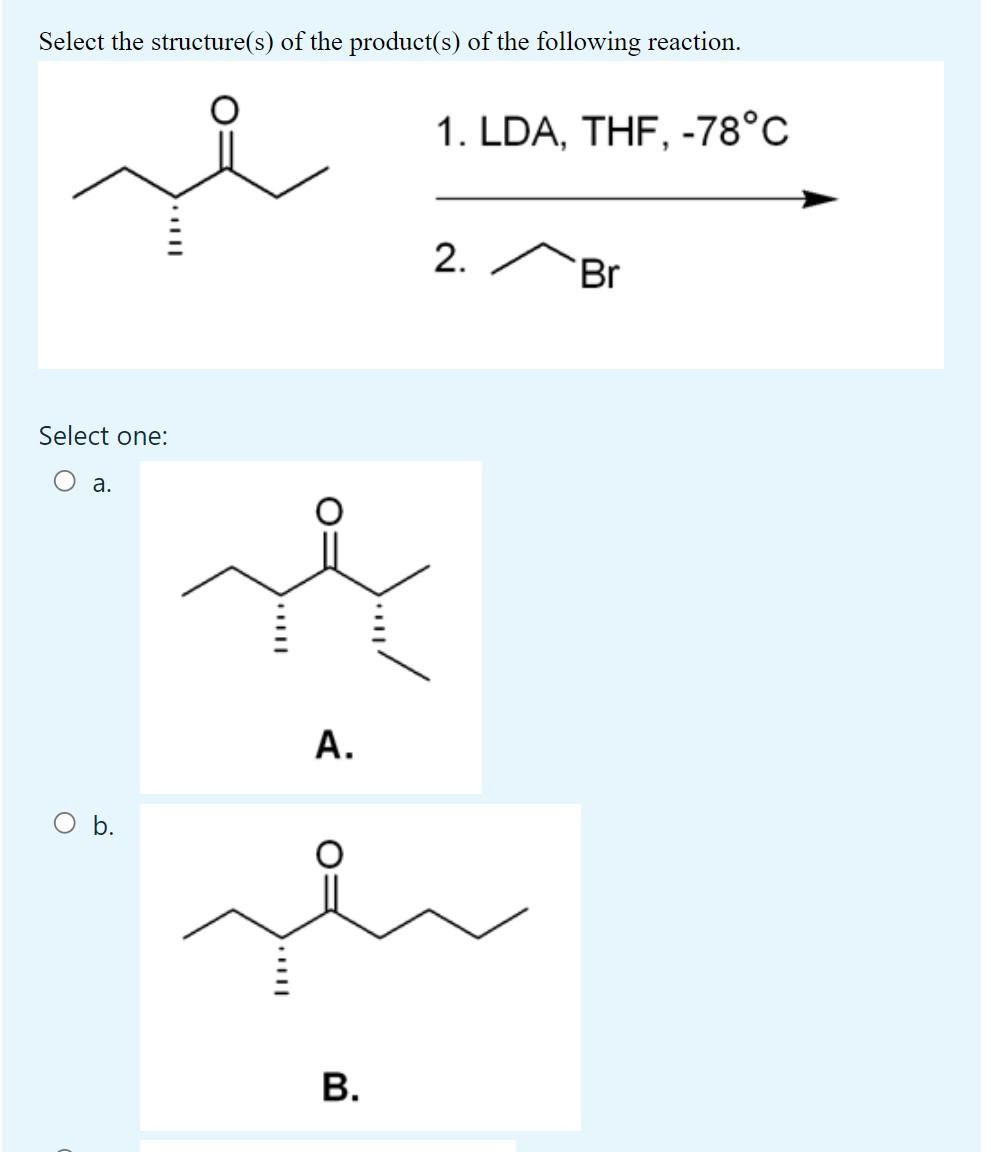 Solved The formation of a thermodynamic enolate is favored | Chegg.com
