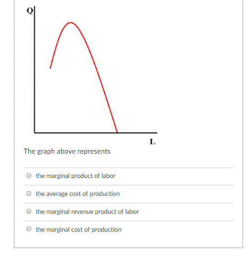 Solved Labor Output MP of labor MRP labor Wage Marginal | Chegg.com