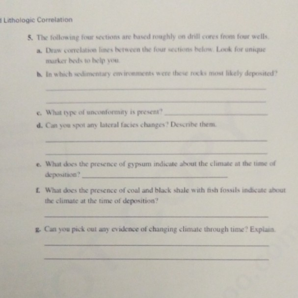 Solved: Gratigraphy And Lithologic Correlation Cambrian St... | Chegg.com