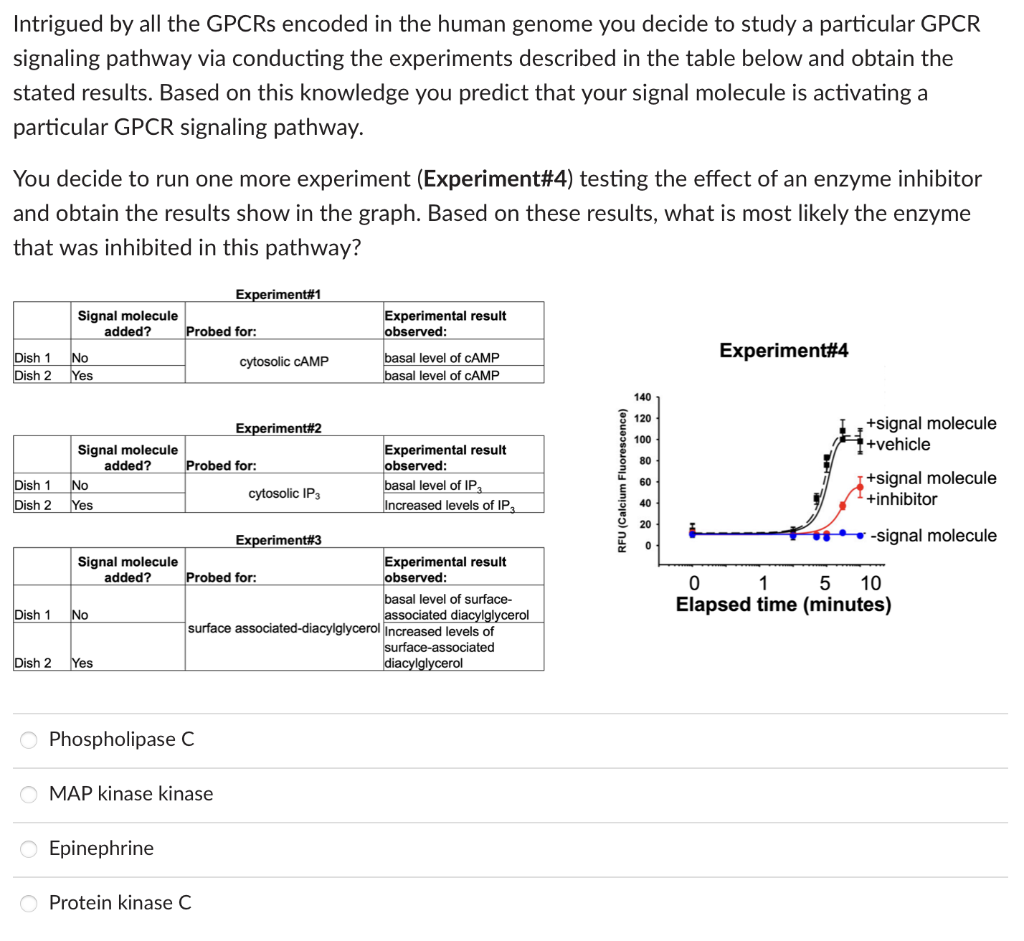 Solved Intrigued by all the GPCRs encoded in the human | Chegg.com