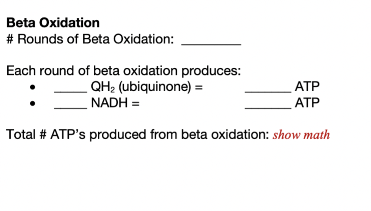 Beta Oxidation \# Rounds of Beta Oxidation: Each | Chegg.com