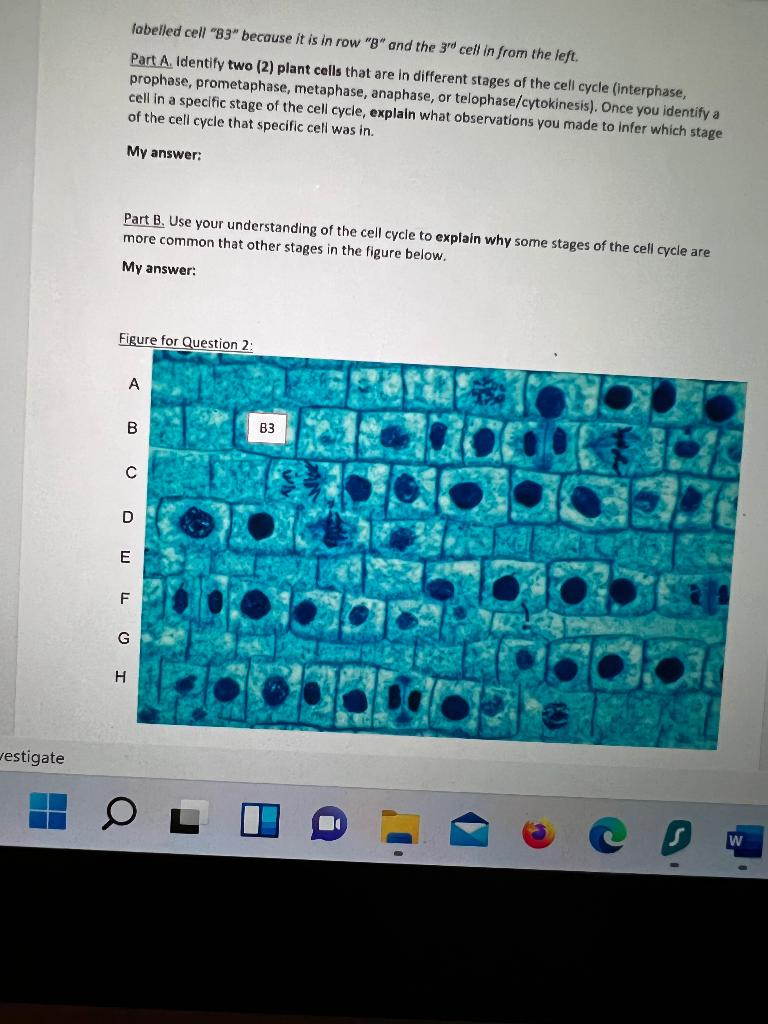 Solved labelled cell "83" because it is in row "B" and the | Chegg.com