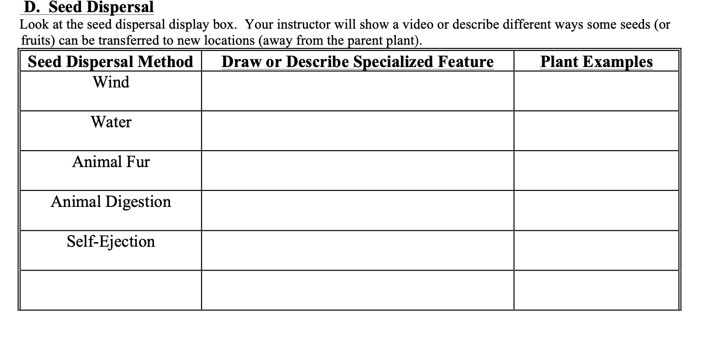 Solved D. Seed Dispersal Look at the seed dispersal display | Chegg.com