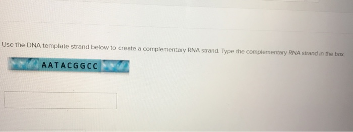 Solved Use the DNA template strand below to create a | Chegg.com