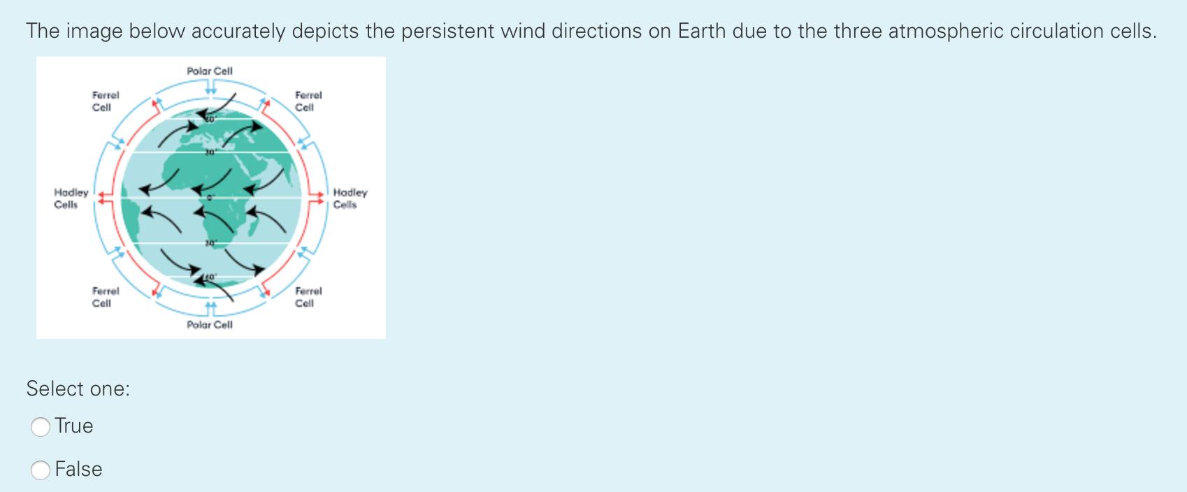 Solved The image below accurately depicts the persistent | Chegg.com