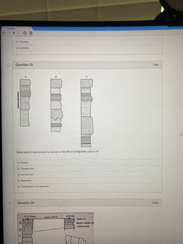 Canvas > X N Mud cracks Ripple marks Cross bedding | Chegg.com