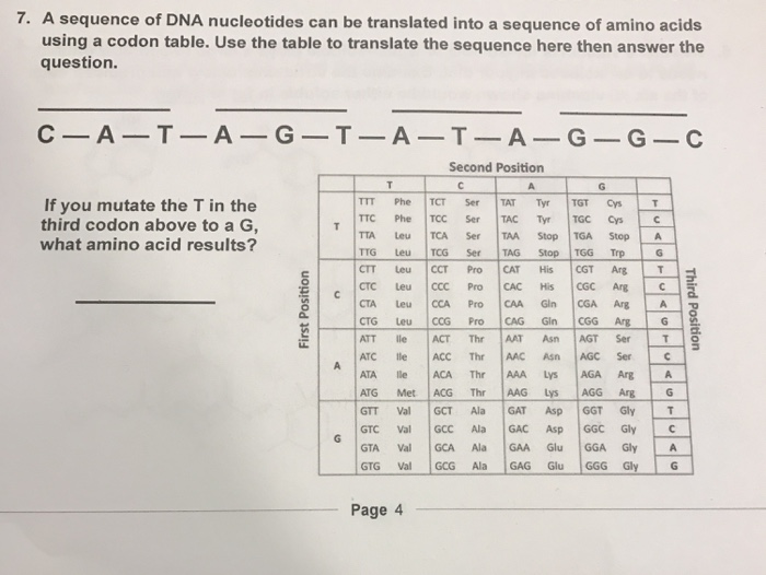 Solved 7. A sequence of DNA nucleotides can be translated | Chegg.com