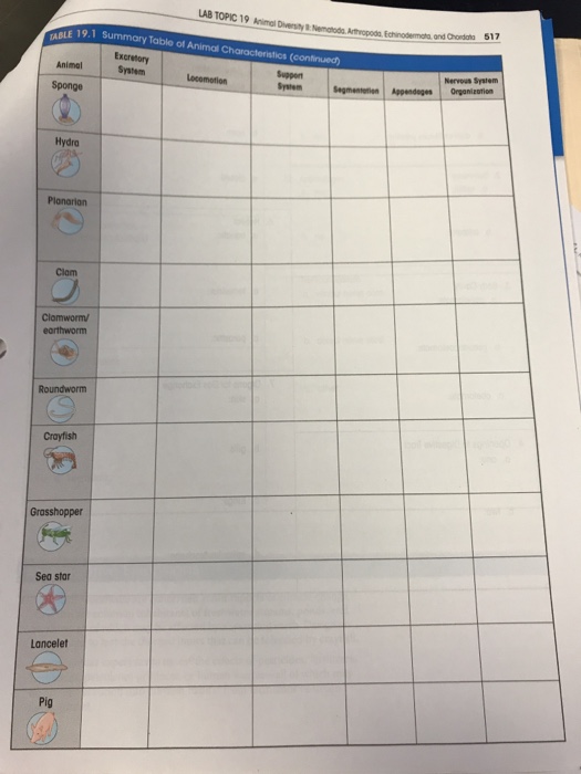 Solved Complete this table, recording in the appropriate row | Chegg.com