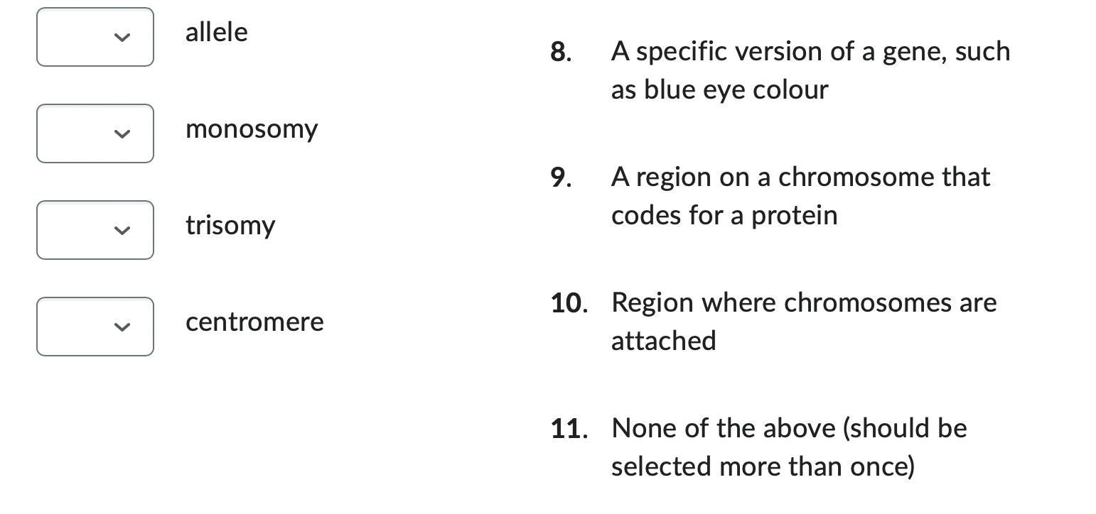 Solved Match the following descriptions to the best term. | Chegg.com