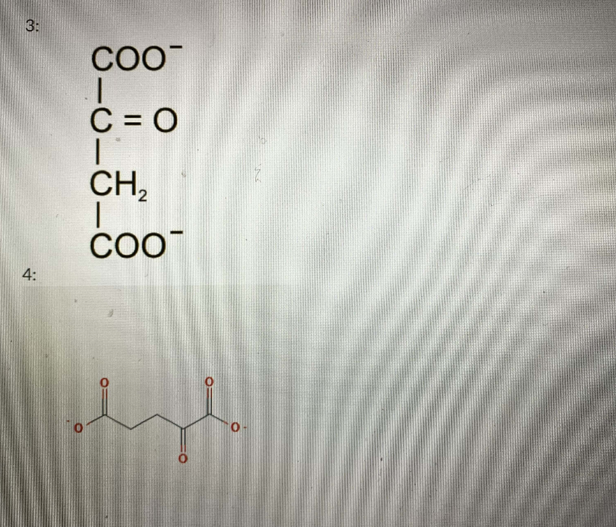 Solved 3: COO C= | CH | COO- 4: 1: TOOC S COA O 2: ů ОН | Chegg.com