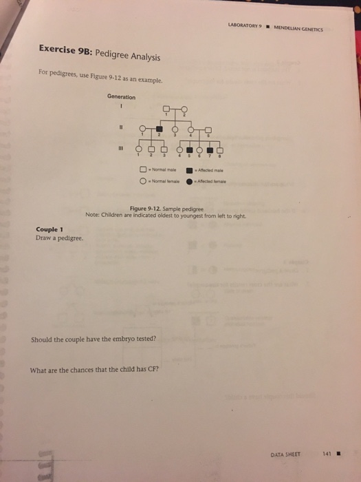 Solved LABORATORY 9 MENDELIAN GENETICS Exercise 9B: | Chegg.com