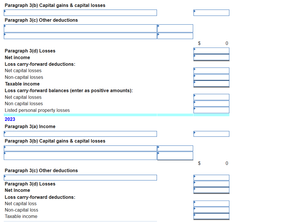 Th 1. Determine the individual's net capital losses, | Chegg.com