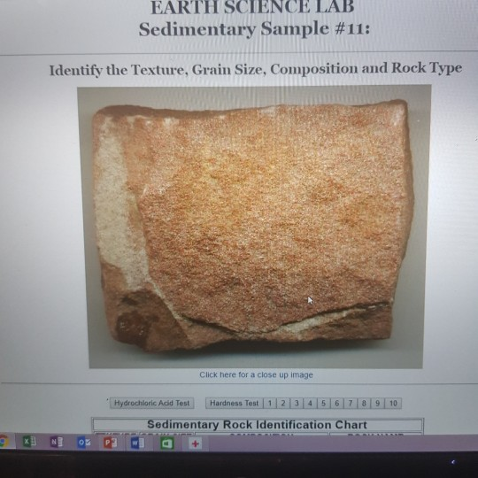 Solved EARTH SCIENCE LAB Sedimentary Sample #7: Identify the | Chegg.com