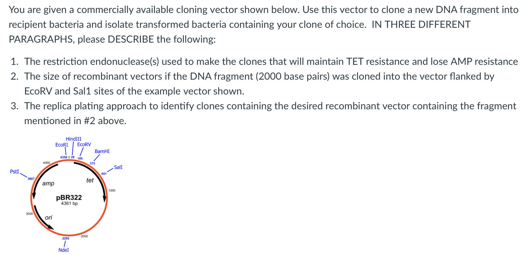 Solved You are given a commercially available cloning vector | Chegg.com