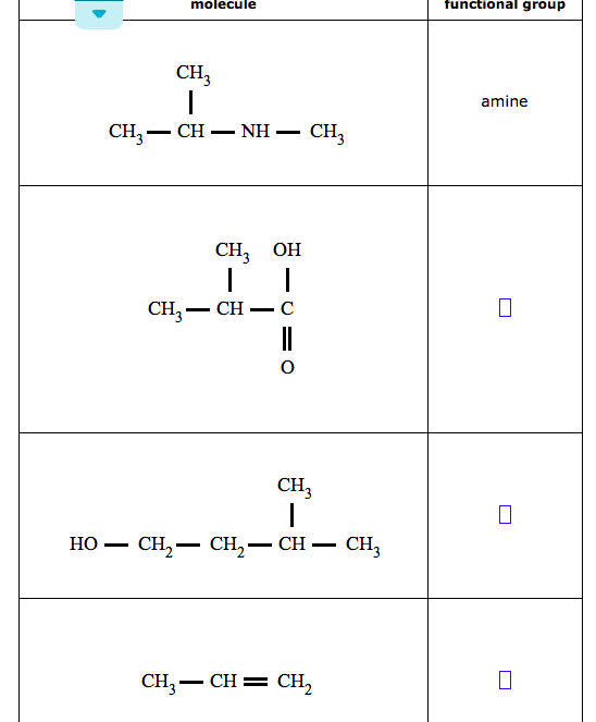 Solved Name the functional group shown in each molecule | Chegg.com