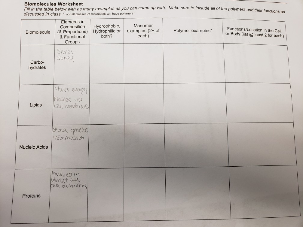Solved Biomolecules Worksheet Fill In The Table Below With Chegg