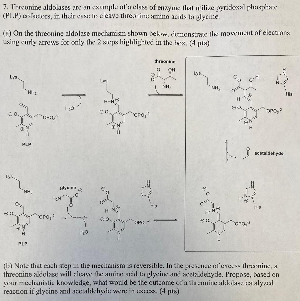 7. Threonine aldolases are an example of a class of | Chegg.com