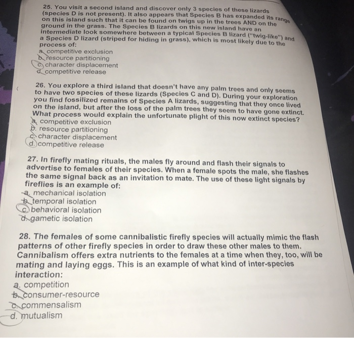 Behavioral Isolation Fireflies