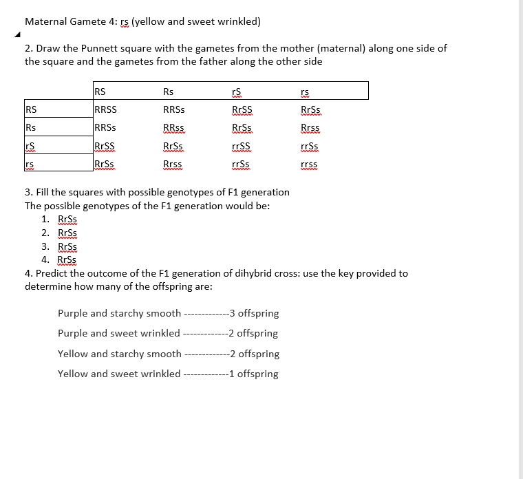 Solved Experiment \#2: Dihybrid Cross, 11.3 Aim: to study | Chegg.com