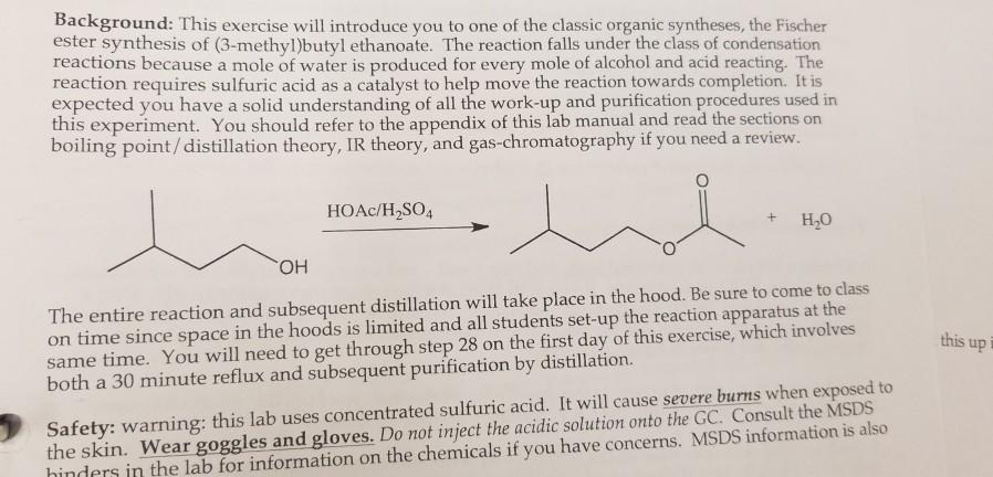 Solved I did an experiment where I synthesized 3-methyl | Chegg.com