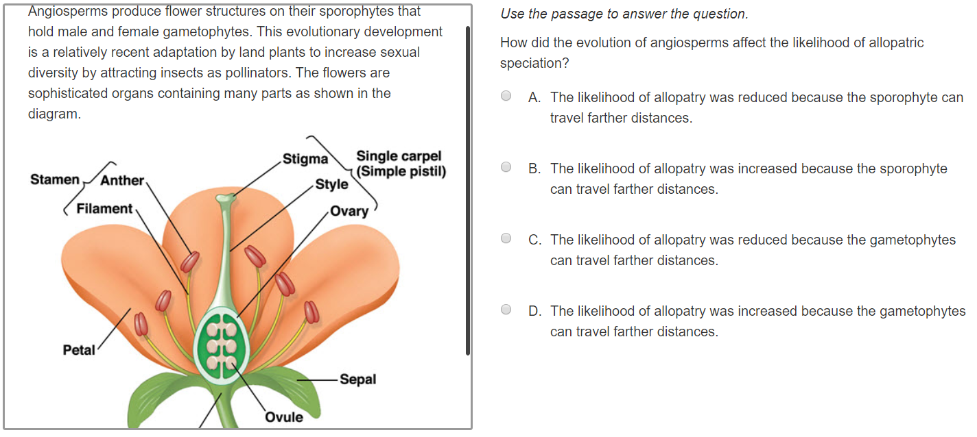 Solved Angiosperms produce flower structures on their | Chegg.com