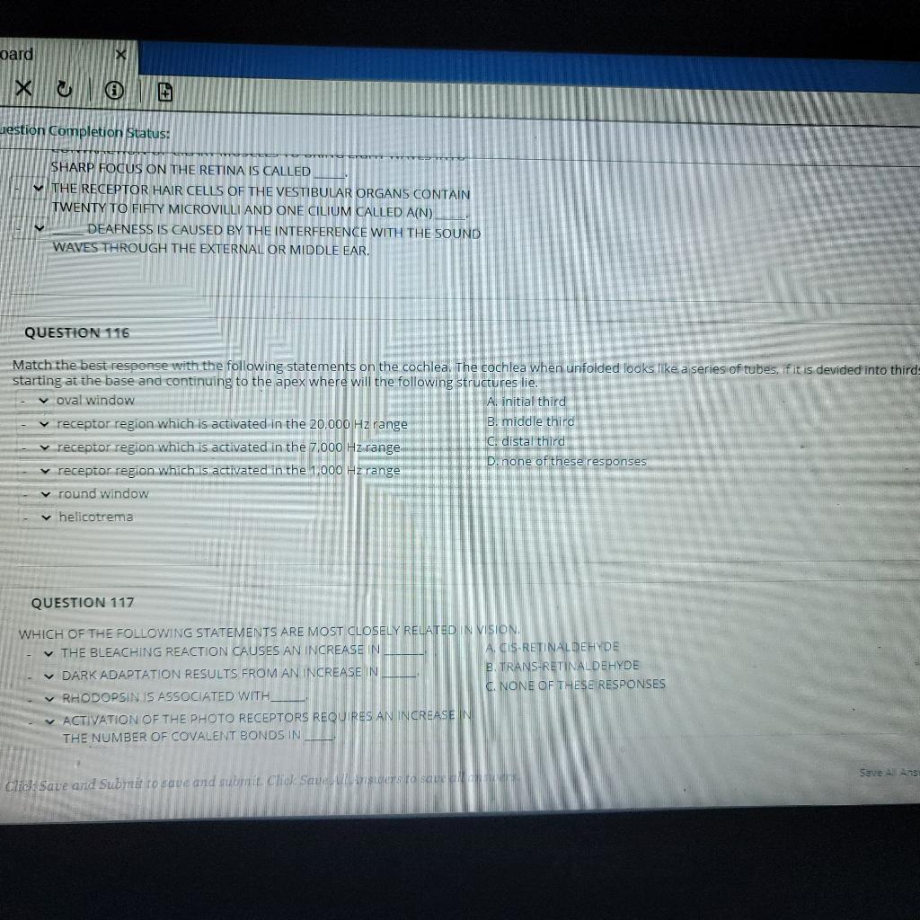 Solved oard X jestion Completion Status: SHARP FOCUS ON THE | Chegg.com