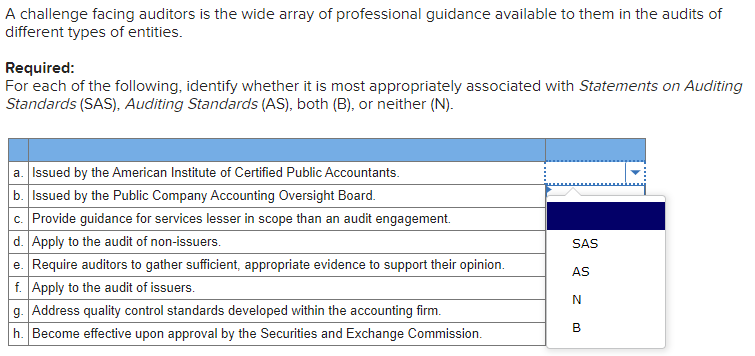 Solved A challenge facing auditors is the wide array of | Chegg.com