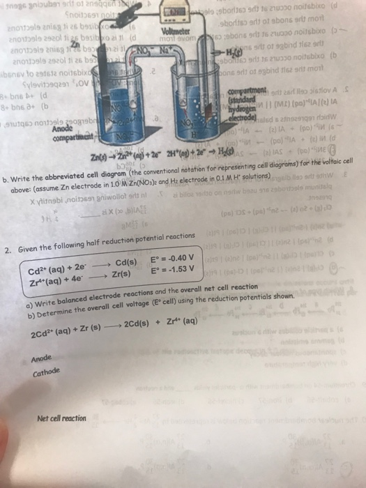 Solved the electrochemical cell diagram below, write | Chegg.com