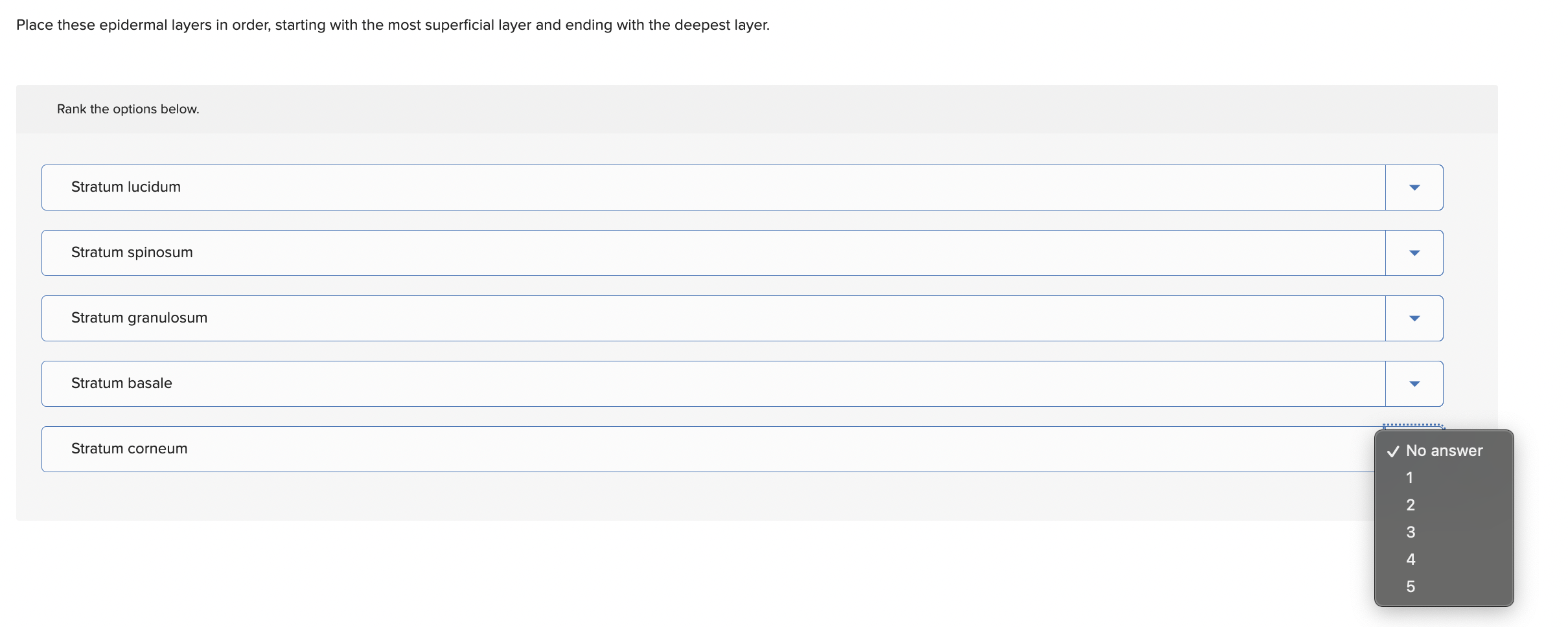 Solved Place these epidermal layers in order, starting with | Chegg.com